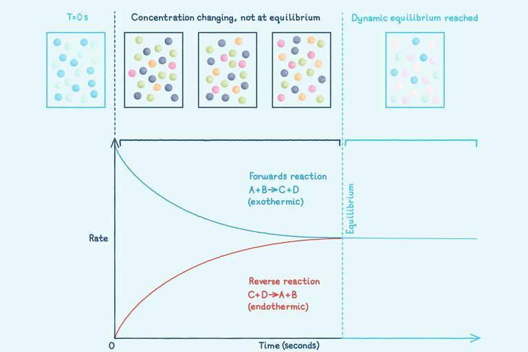 Help learners master equilibrium and reversible reactions | Poster ...